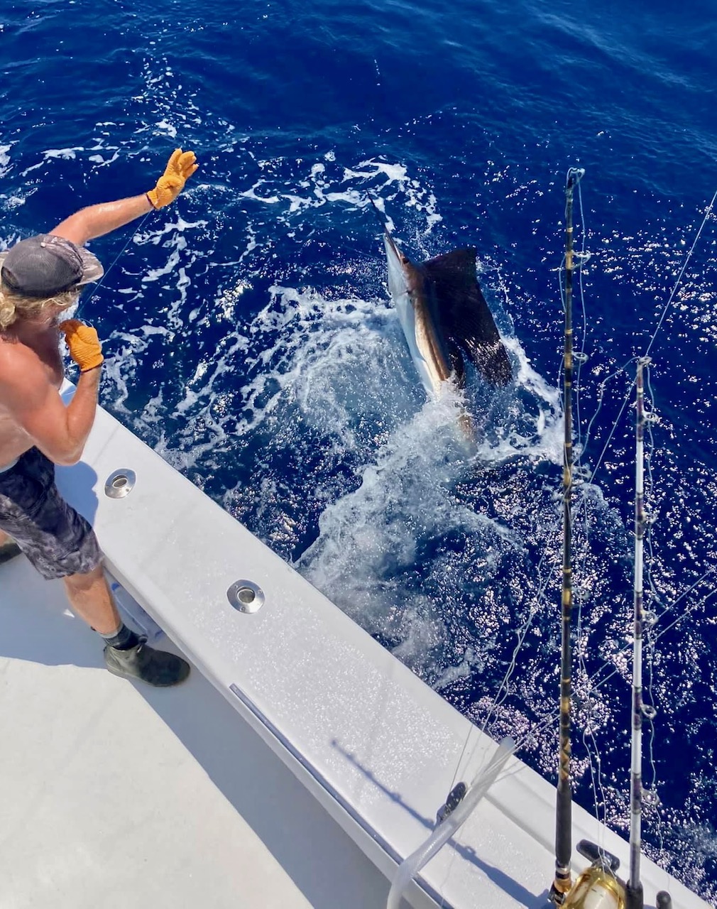 Photo Gallery - Runaway Sportfishing Charters